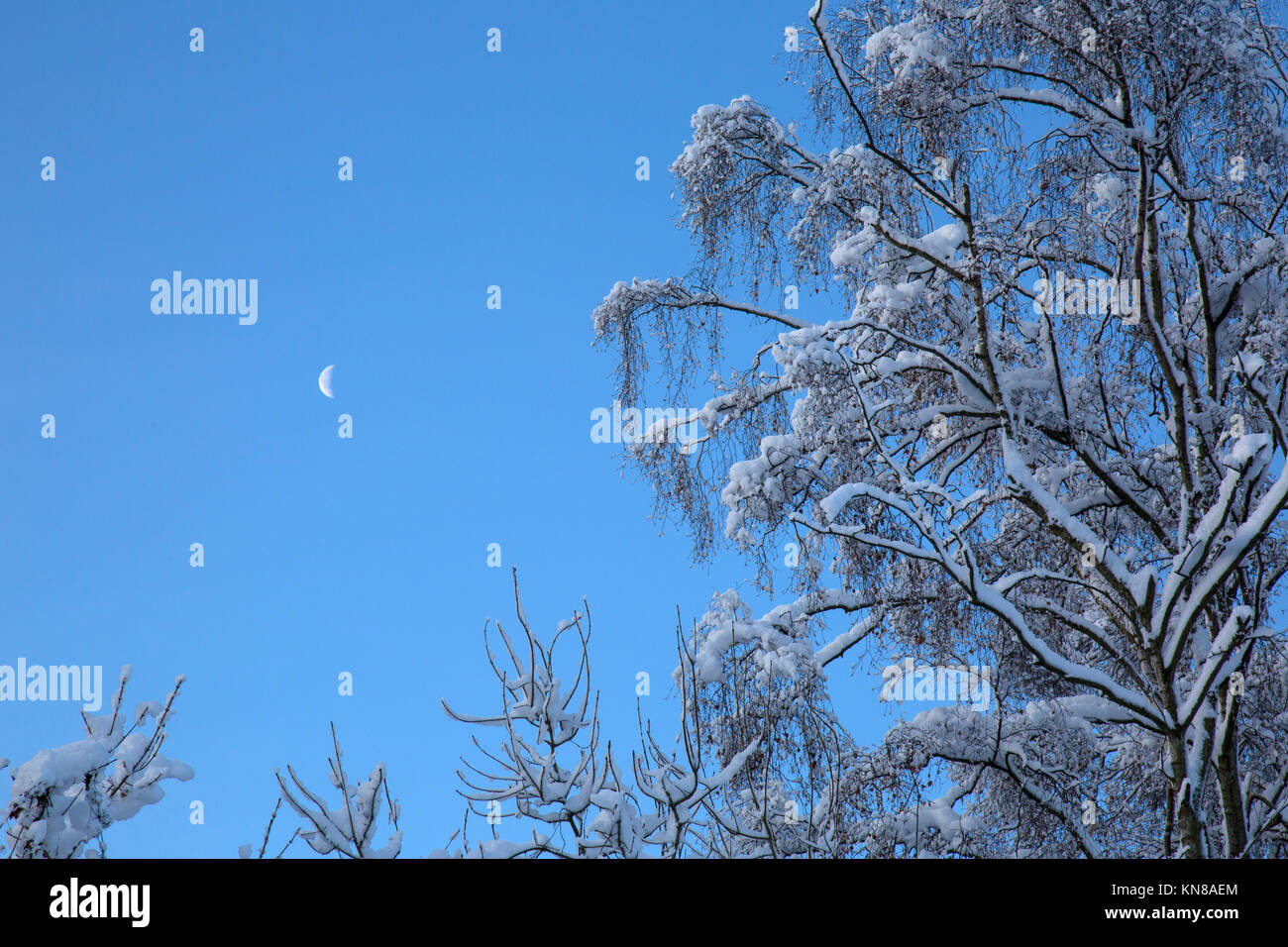Shropshire. 11th Dec, 2017. UK Weather: Towns and villages across ...
