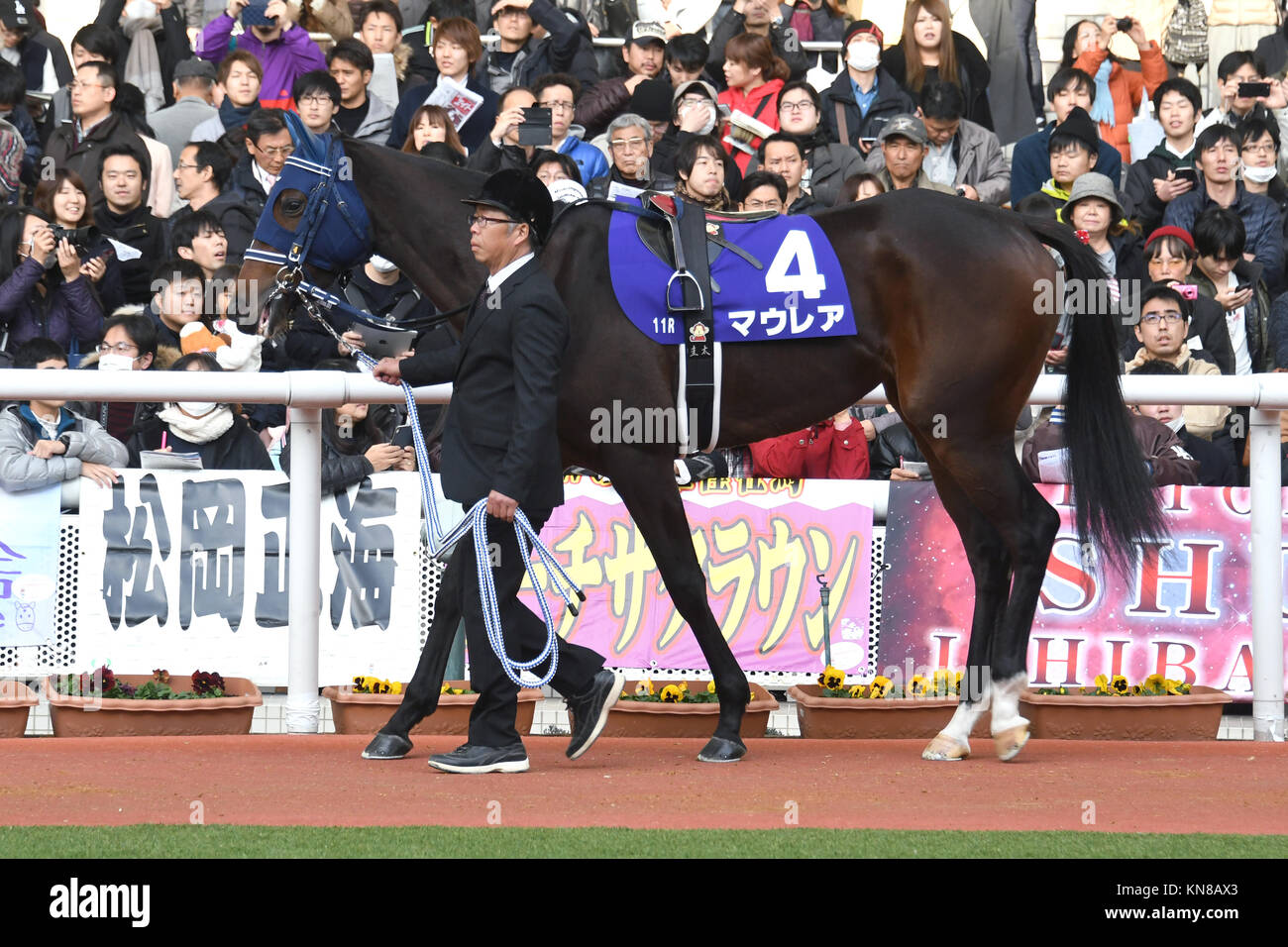 Mau Lea, DECEMBER 10, 2017 - Horse Racing : Mau Lea is led through the ...
