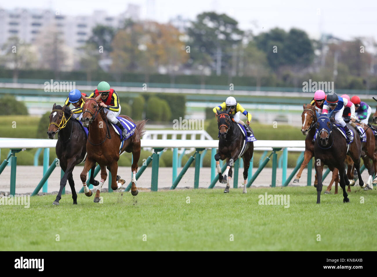 (L-R) Lily Noble (Yuga Kawada), Lucky Lilac (Shu Ishibashi), Lathyros ...
