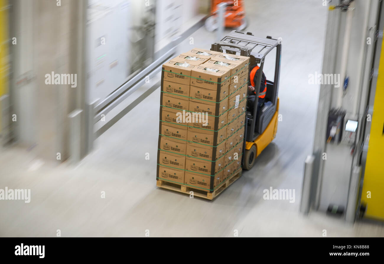 A forklift transports a pallet of bananas through the new banana ...