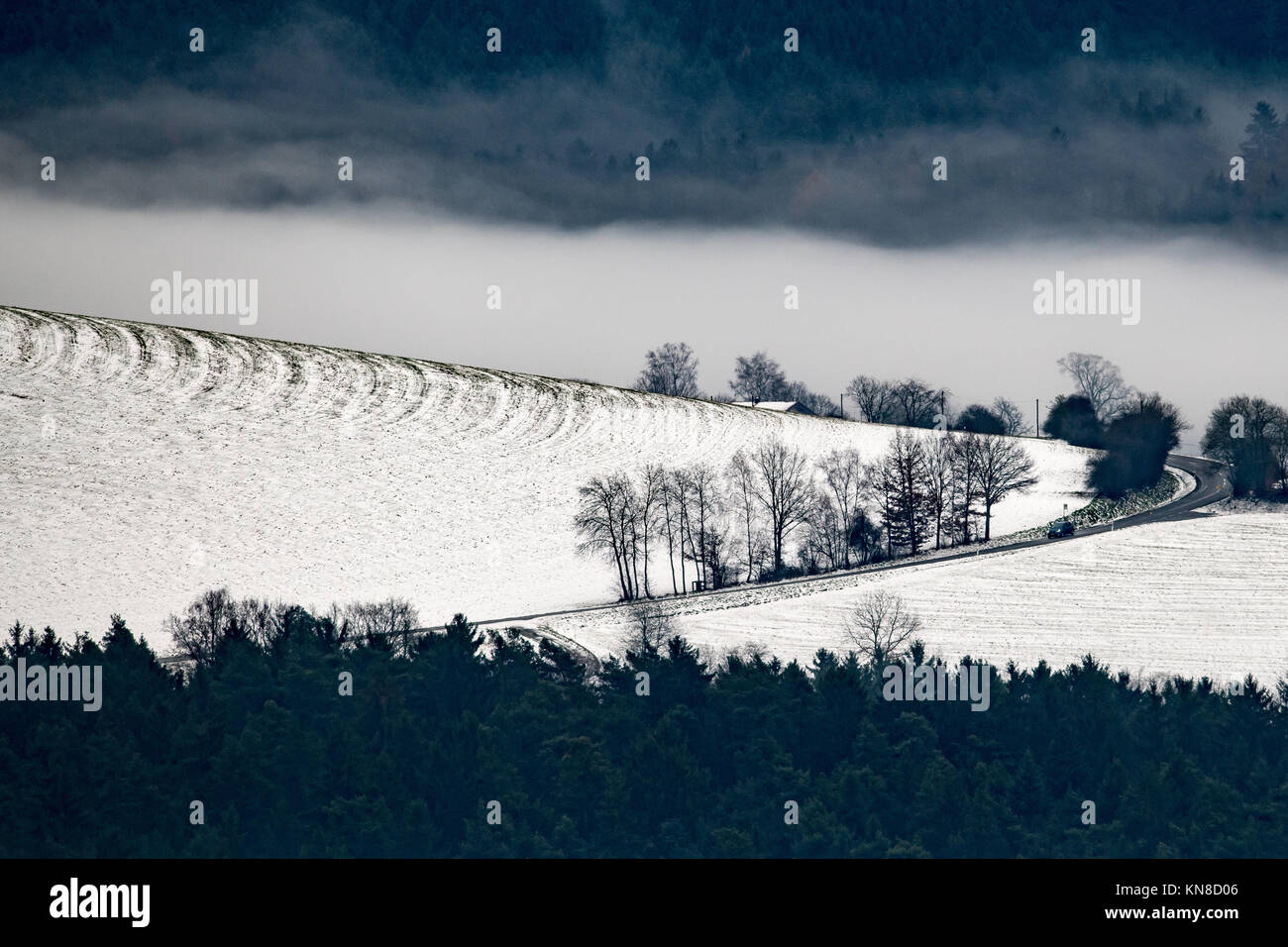 11 bogen hi-res stock photography and images - Alamy