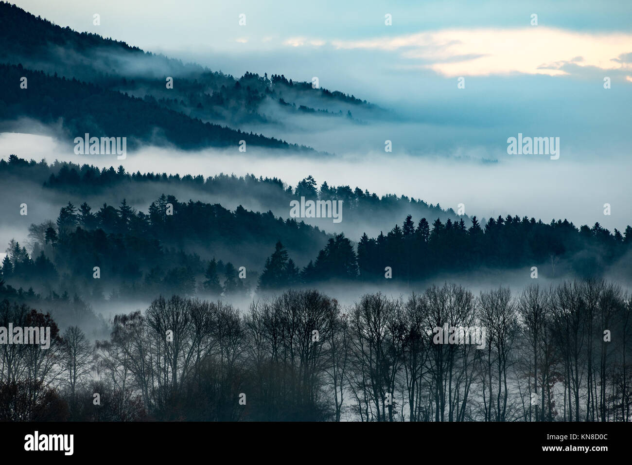 Straubing-Bogen, Germany. 11th Dec, 2017. Wafts of mist hanging over ...