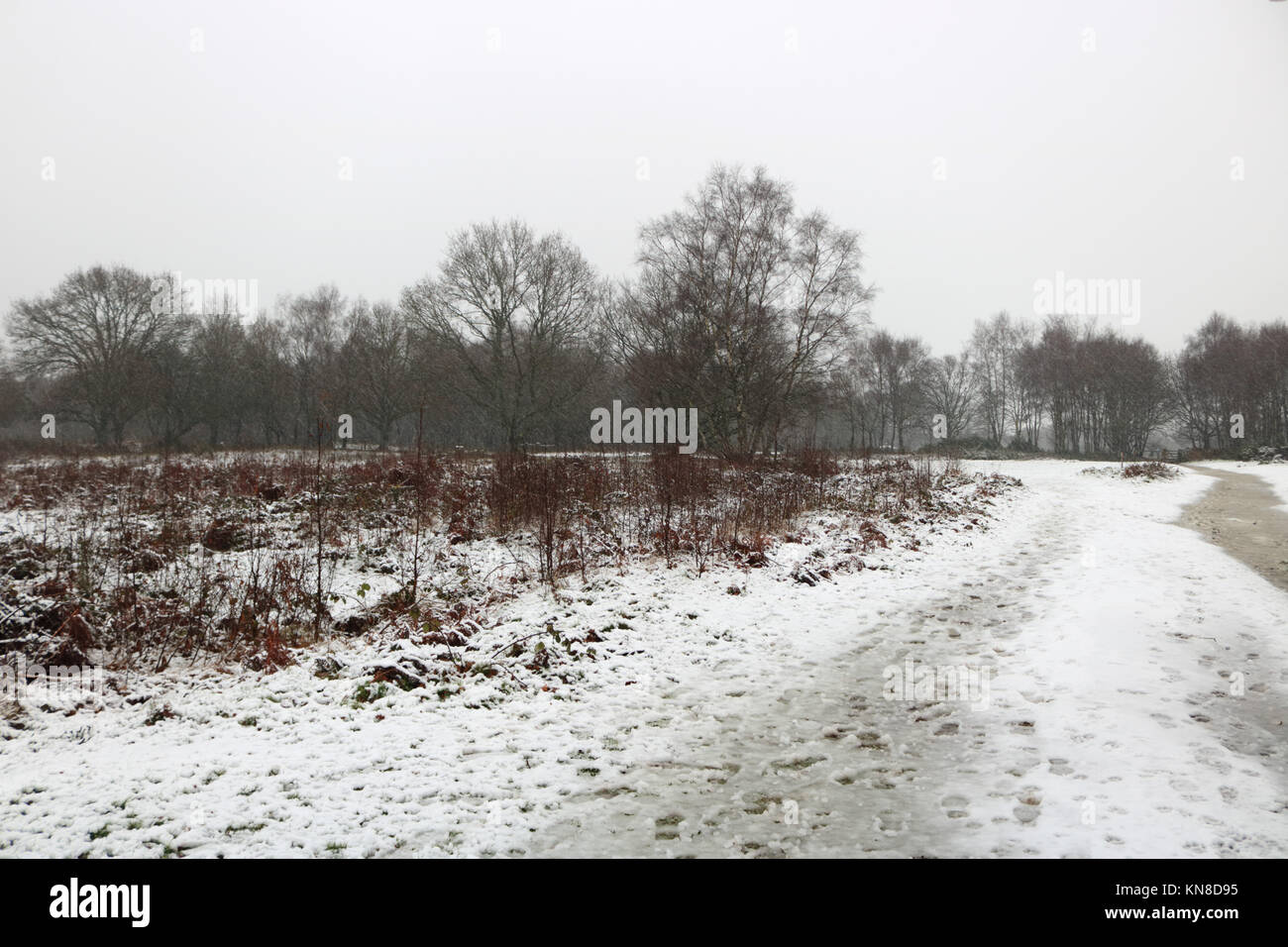 Headley Heath, Surrey, UK. 11th December 2017. A light covering of snow ...