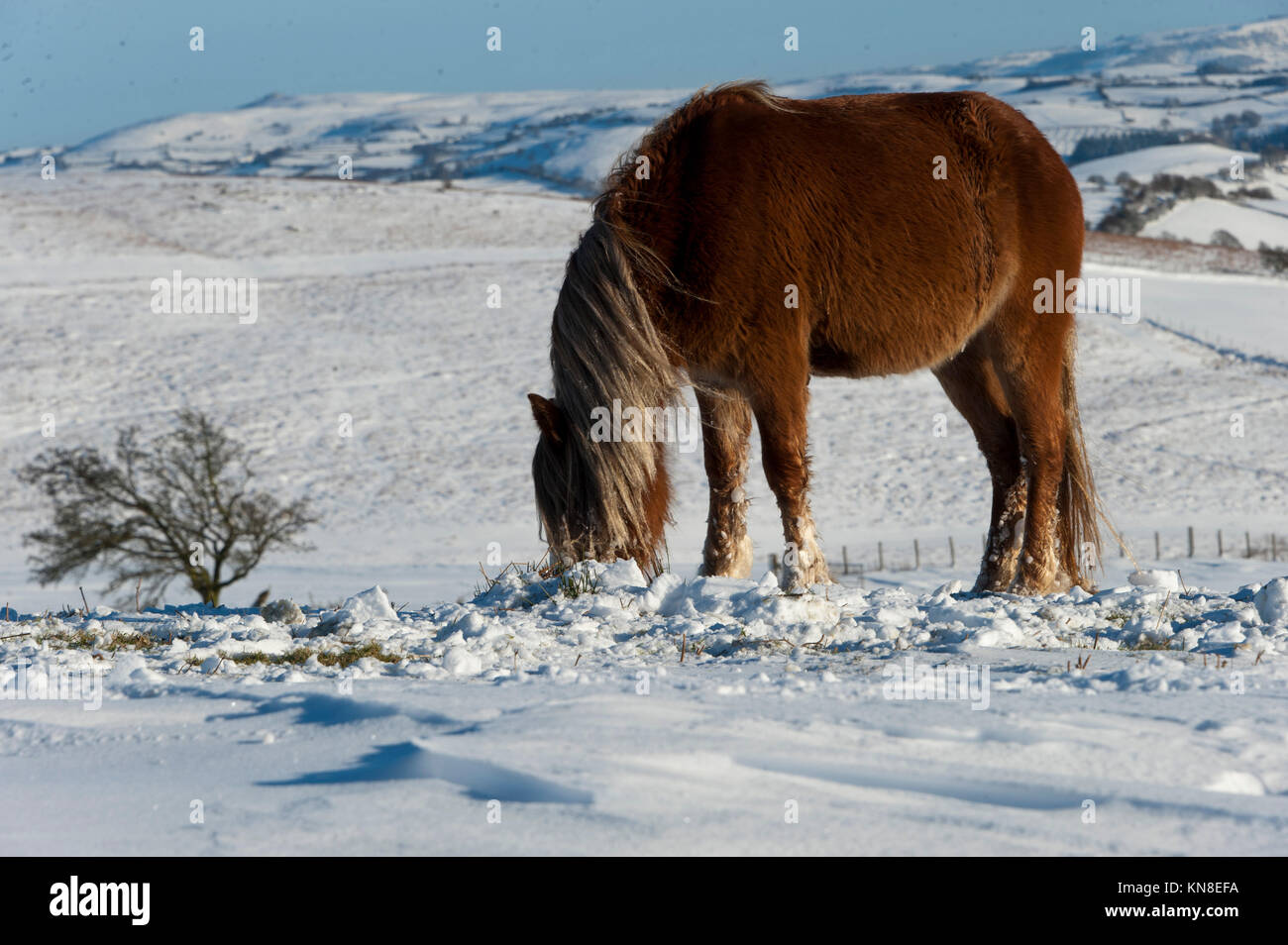 Builth Wells, (Mynydd Epynt) Powys, Wales, UK. 11th December 2017 ...
