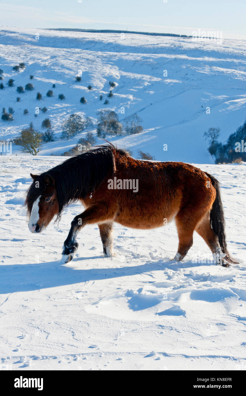 Builth Wells, (Mynydd Epynt) Powys, Wales, UK. 11th December 2017. A ...