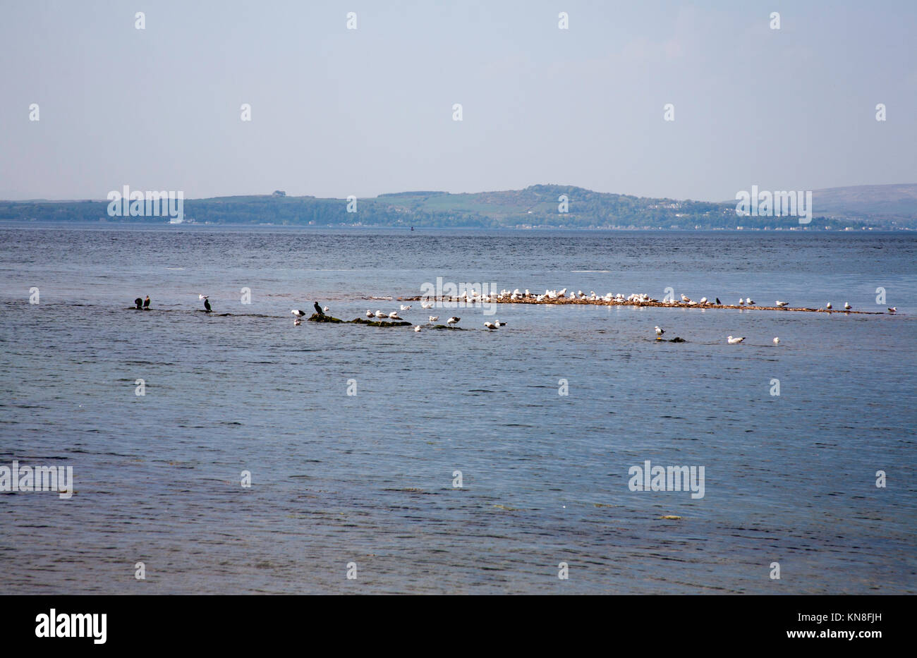 Ayshire village hi-res stock photography and images - Alamy