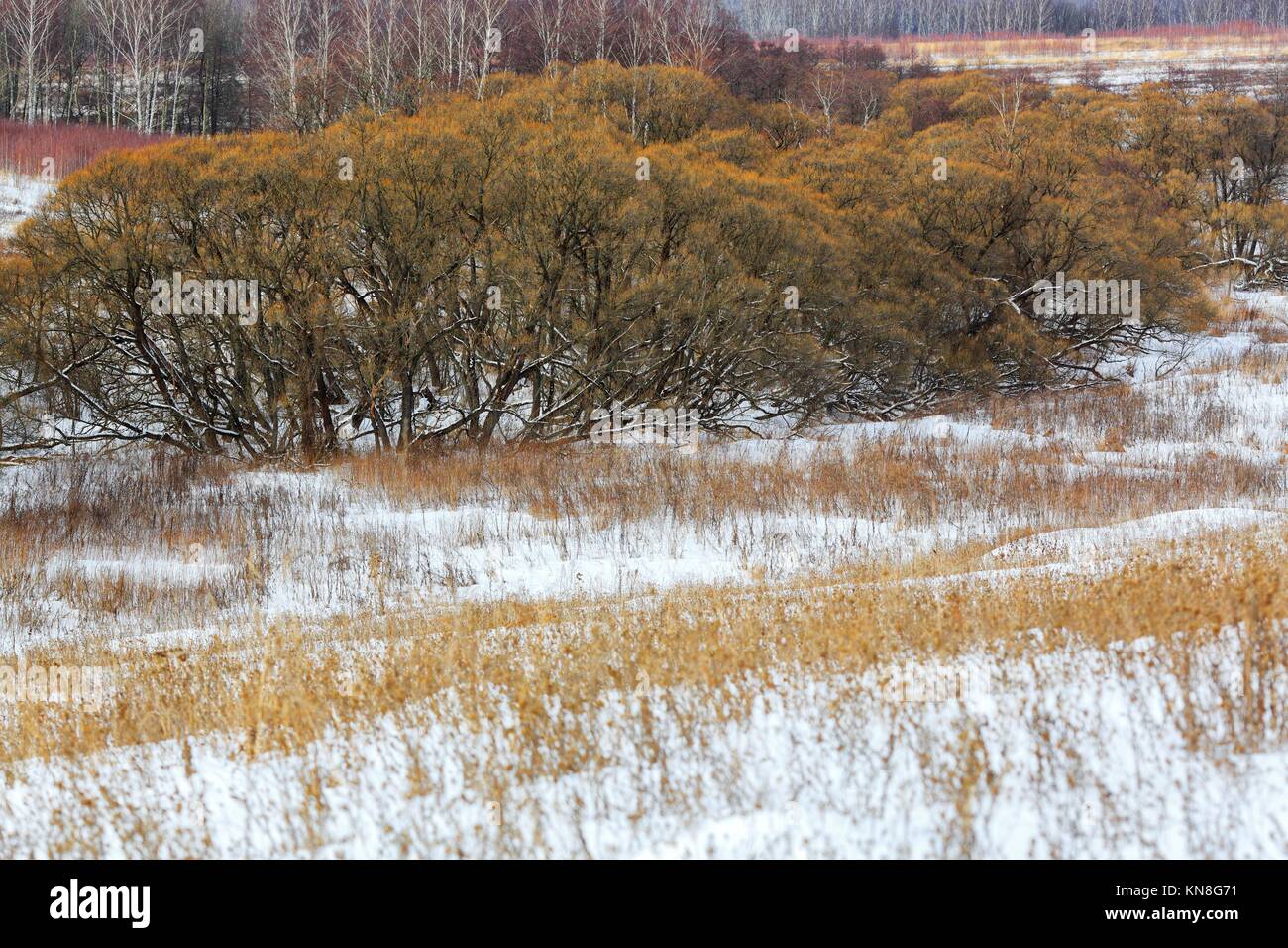 Nature forest countryside country hi-res stock photography and images ...