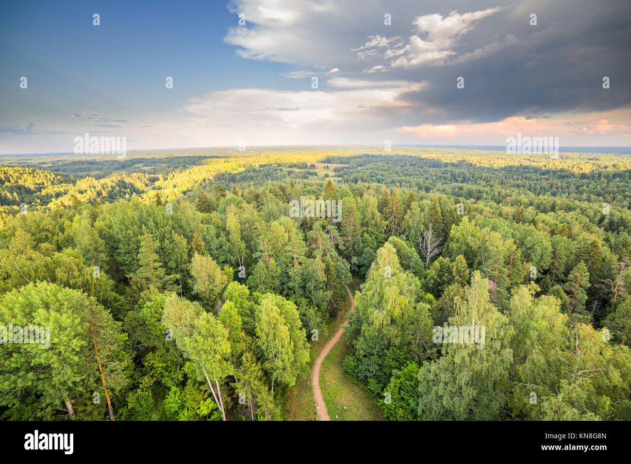 Sky above forest hi-res stock photography and images - Alamy