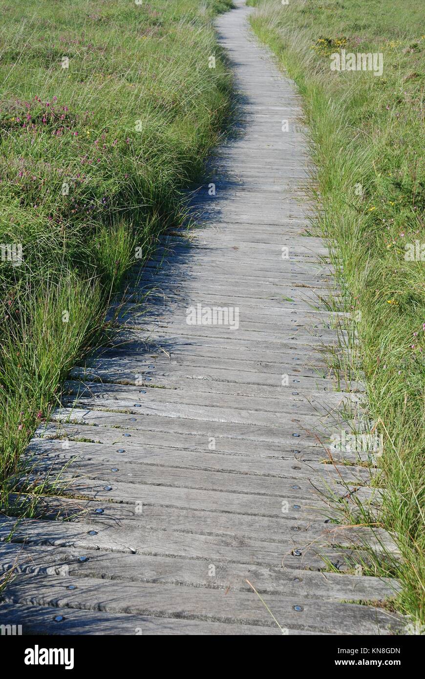 Pathway path structure hi-res stock photography and images - Alamy