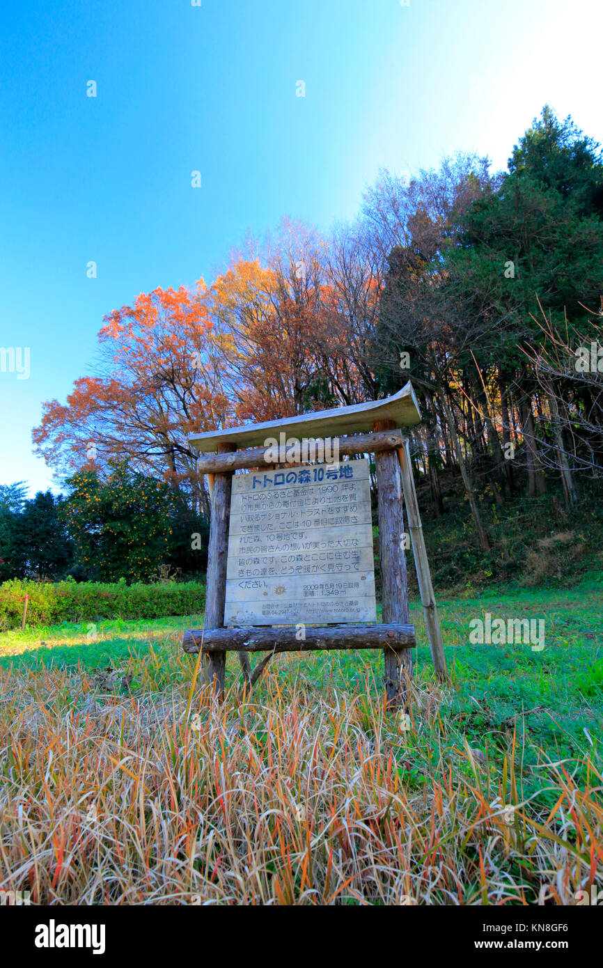 Totoro Forest No.10 in Sayama Hills in Tokorozawa city Saitama Japan ...