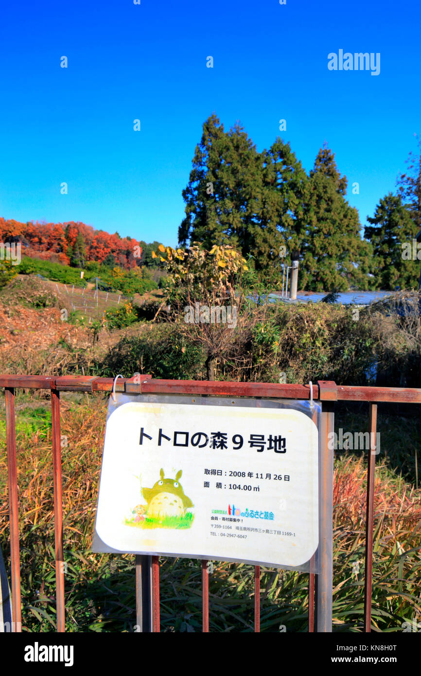 Totoro Forest No.9 in Sayama Hills in Tokorozawa city Saitama Japan ...