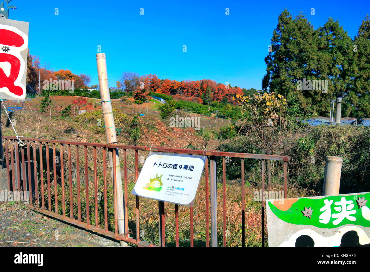 Totoro Forest No.9 in Sayama Hills in Tokorozawa city Saitama Japan ...