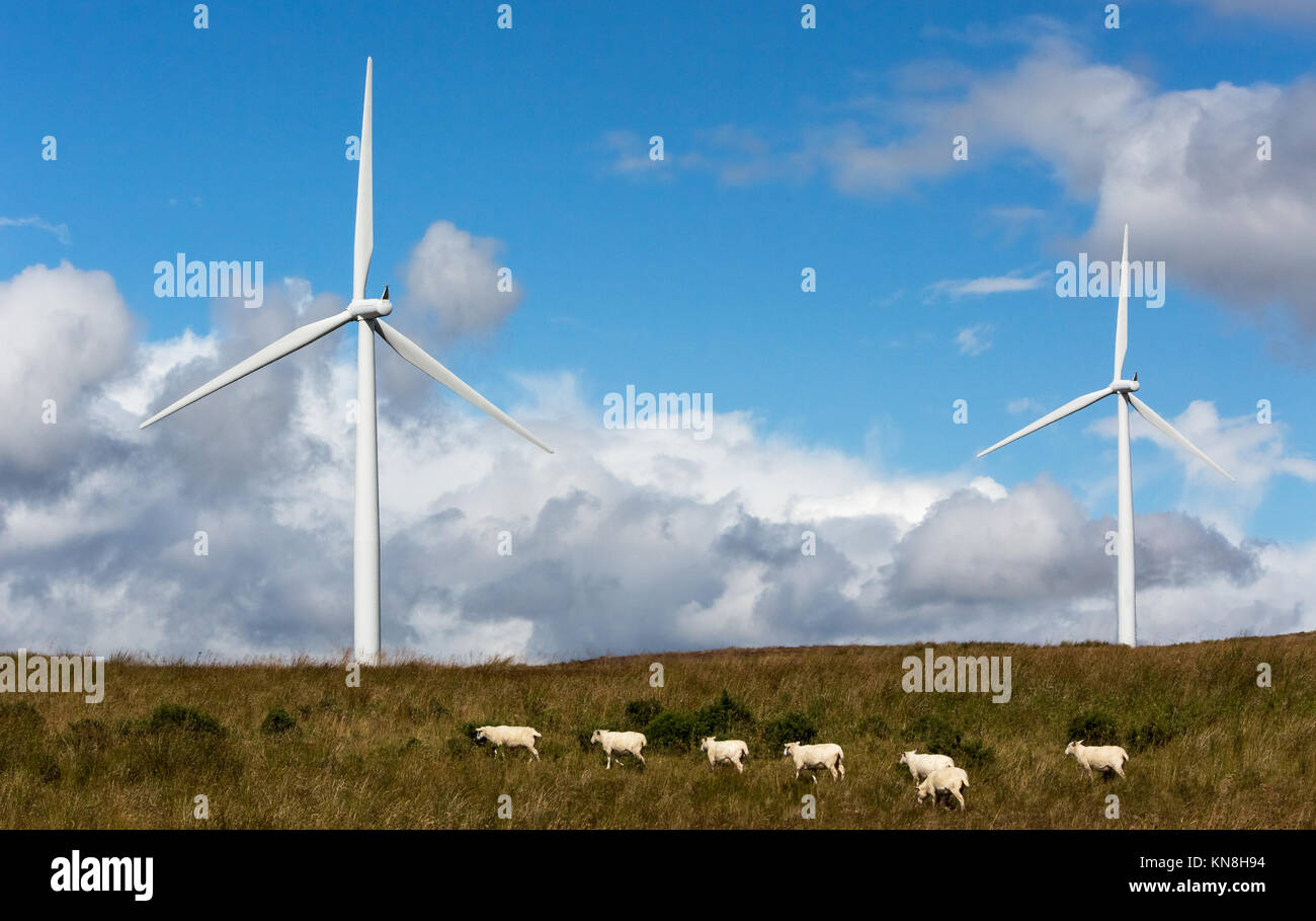 Farmland wind turbines hi-res stock photography and images - Alamy