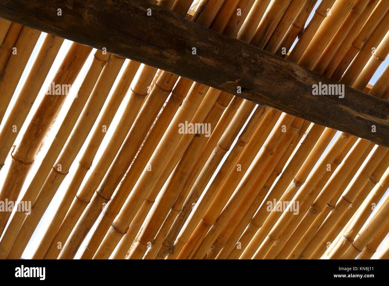 A bamboo roof against the sky Stock Photo - Alamy