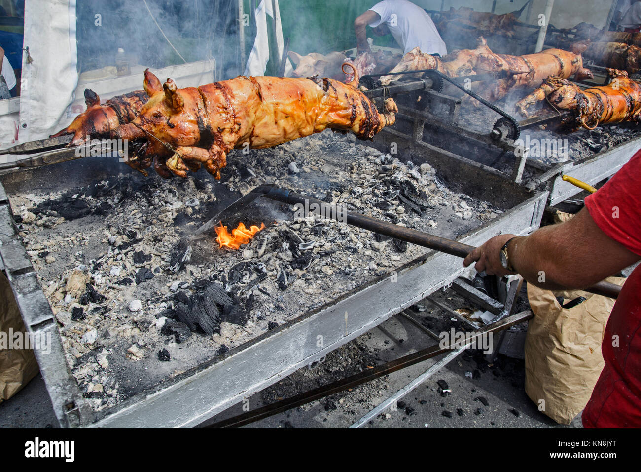 Roasting of young pigs in the open air Stock Photo - Alamy