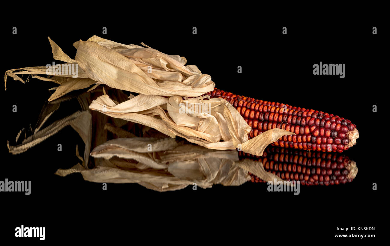Holiday Corn of Indian styal that is red and tan Stock Photo - Alamy