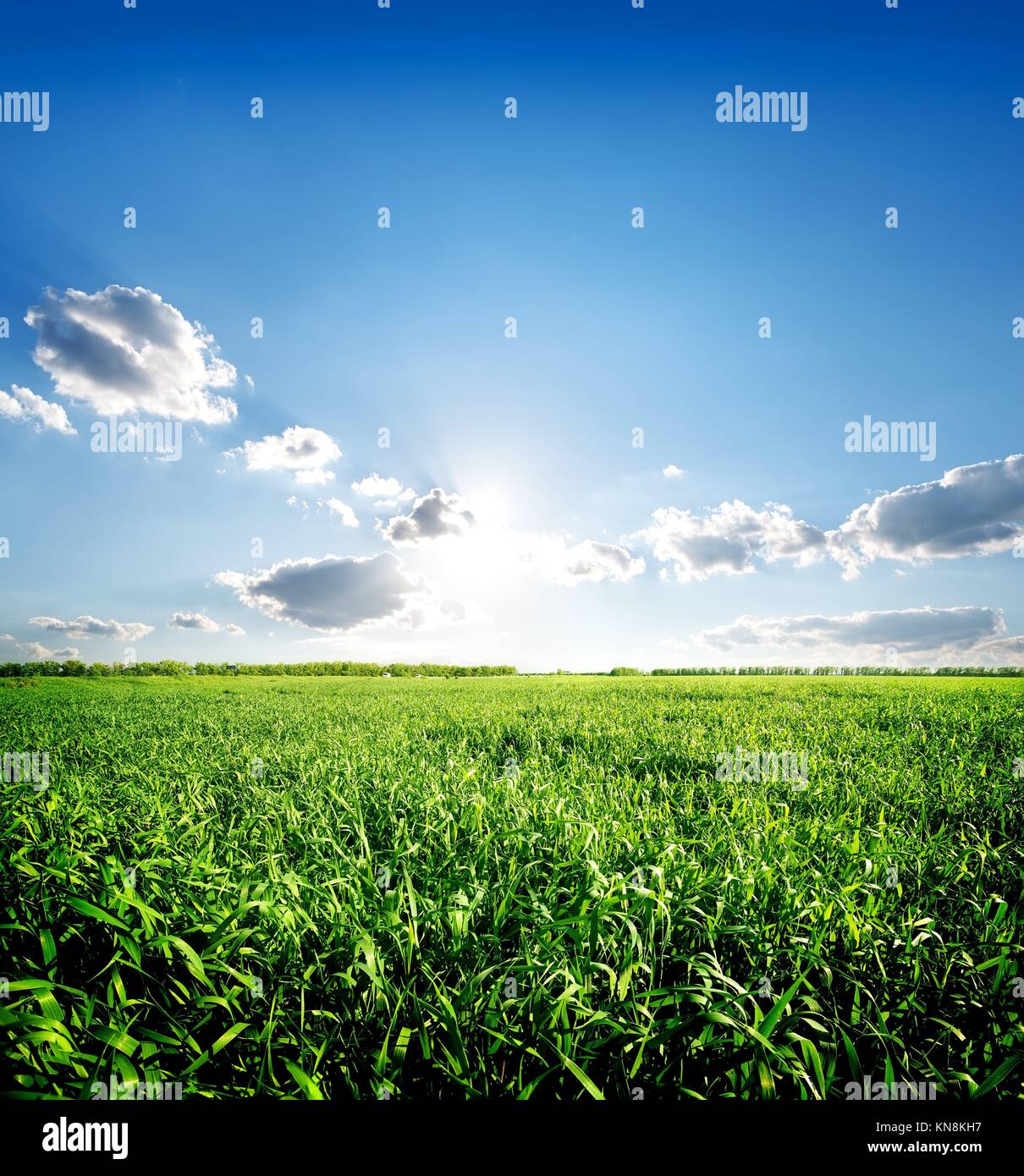 Blue green sun hi-res stock photography and images - Alamy