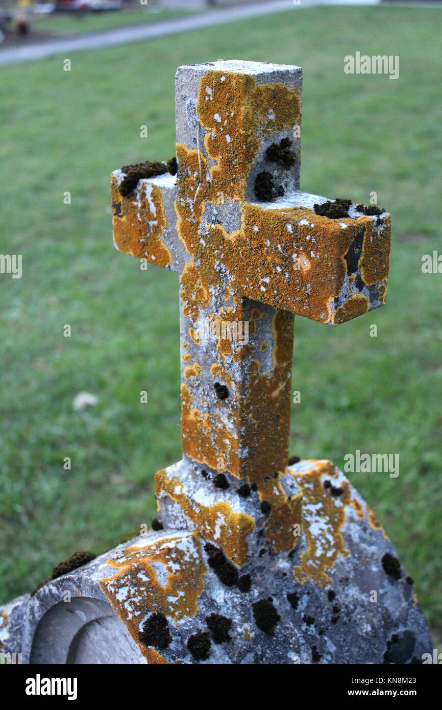 Massive stone cross mounted on headstone and almost completely covered ...