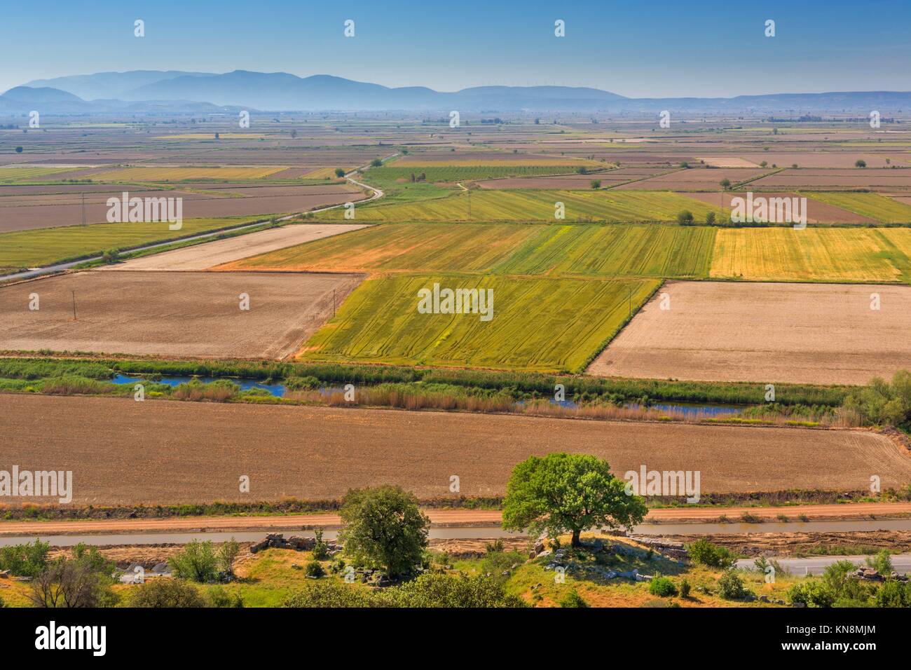 Turkey country farming hi-res stock photography and images - Alamy