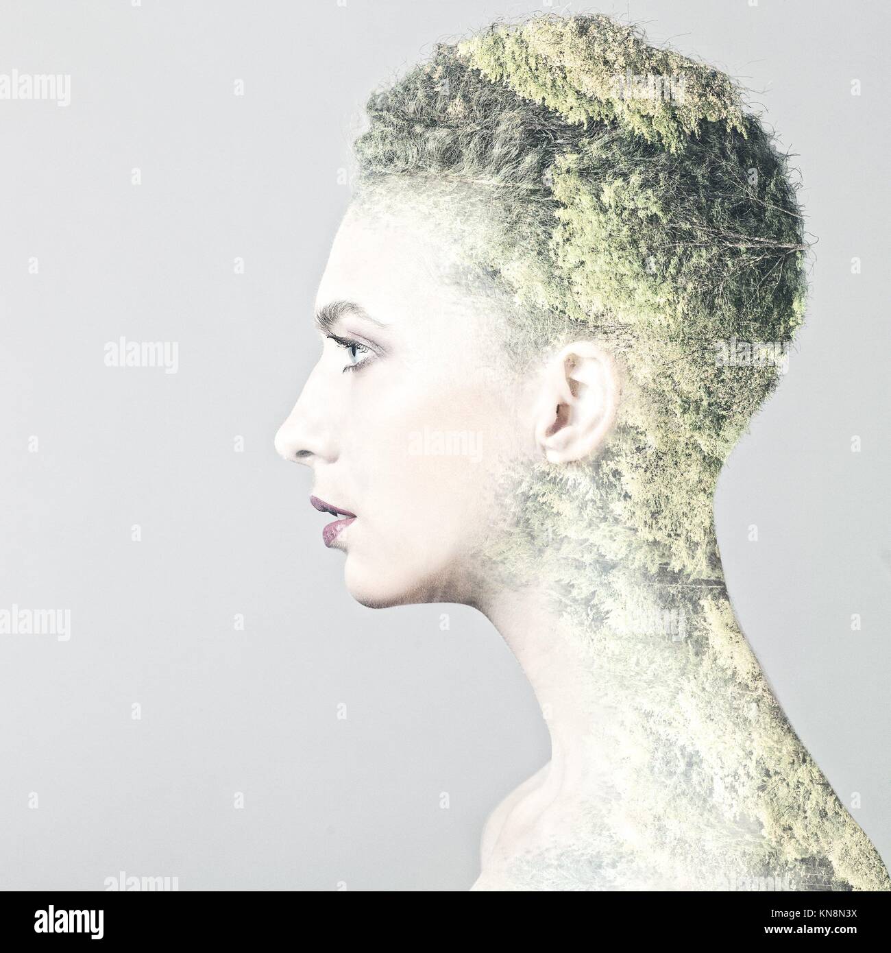 Abstract Multiple Exposure Wood High Resolution Stock Photography and ...