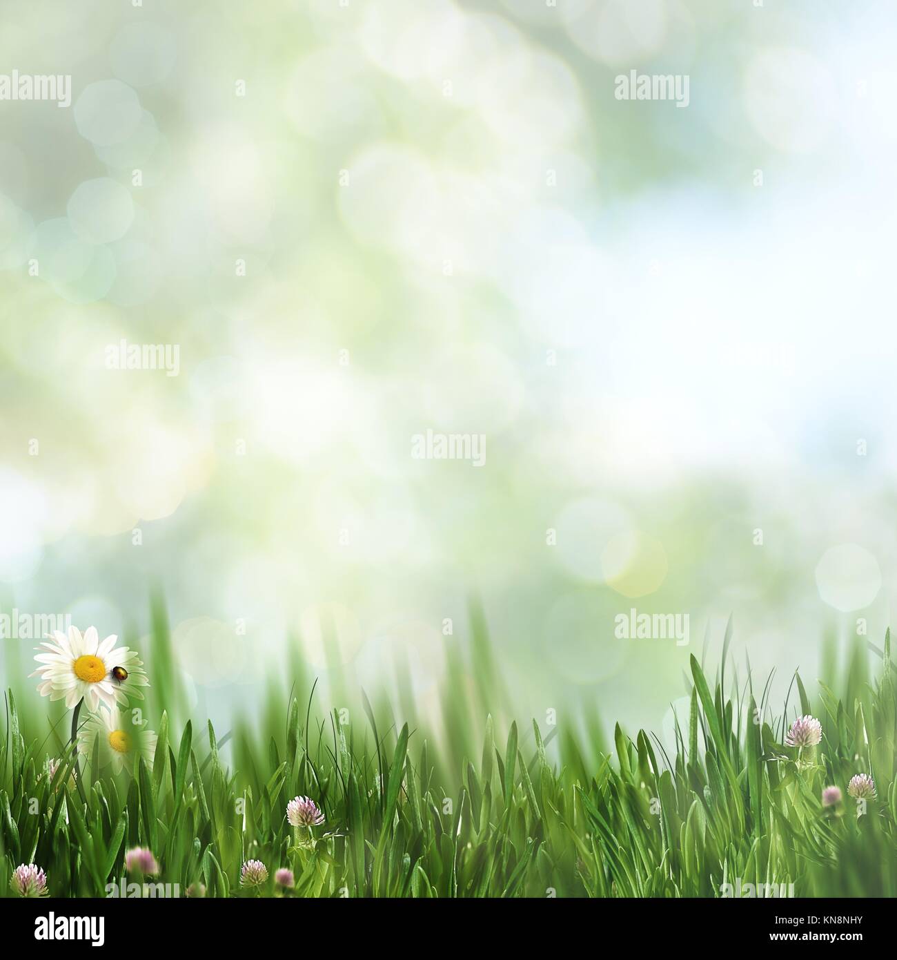 Beautiful natural backgrounds hi-res stock photography and images - Alamy