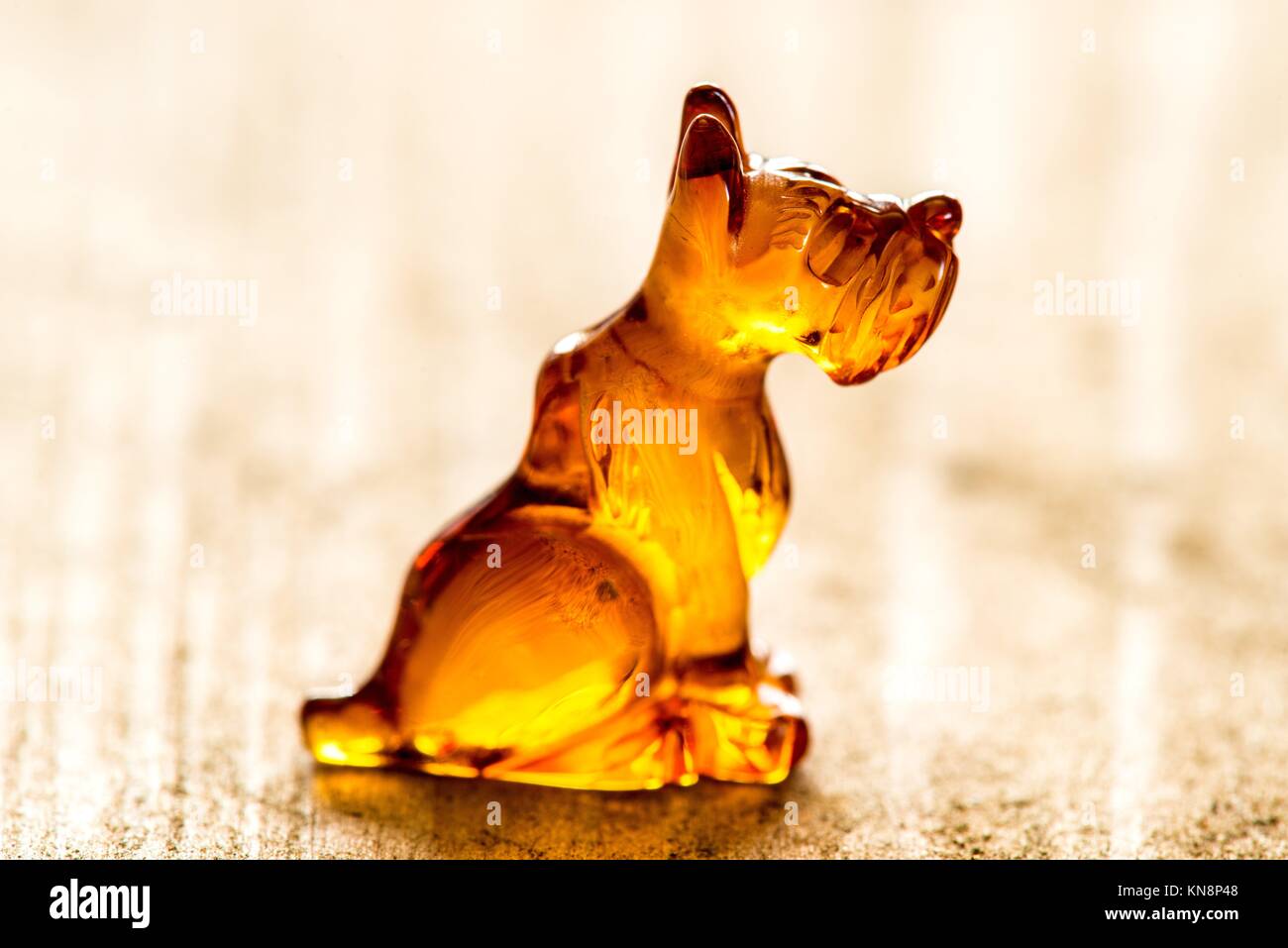 Amber dog, closeup Stock Photo - Alamy