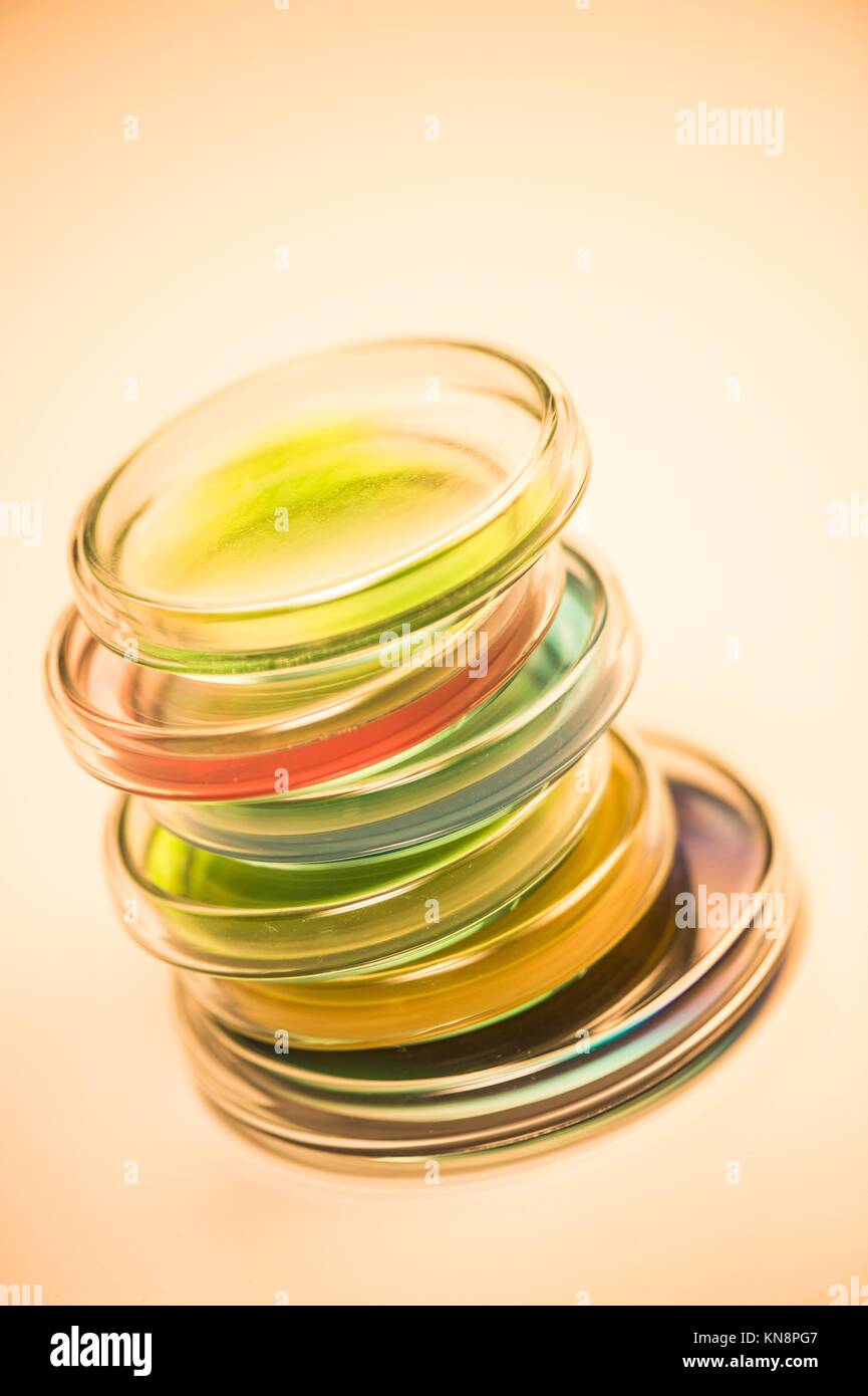 Petry Dish High Resolution Stock Photography and Images - Alamy