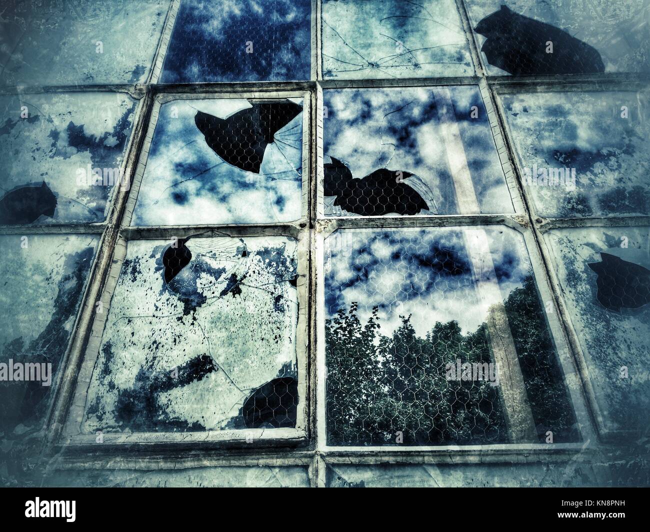 Repair broken glass hi-res stock photography and images - Alamy