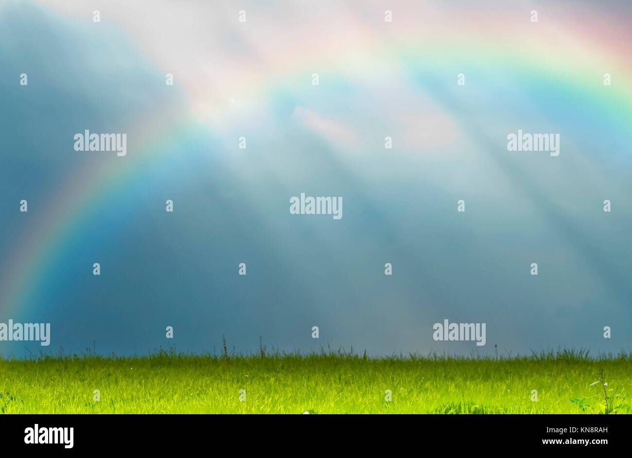 Shaft of light grass hi-res stock photography and images - Alamy