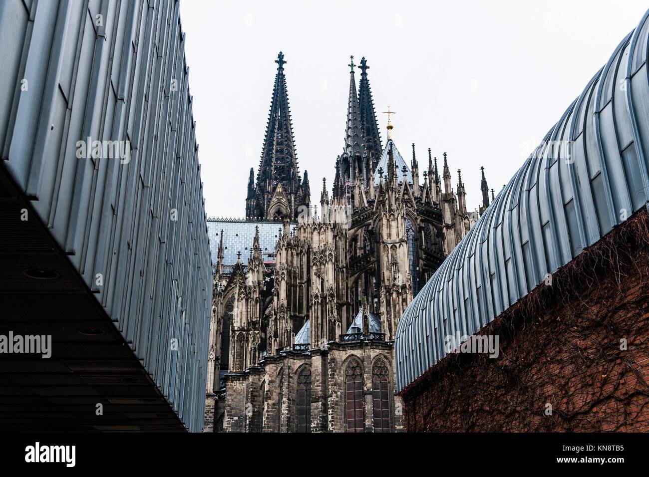 Gothic cathedral of Koln Germany Europe Stock Photo - Alamy