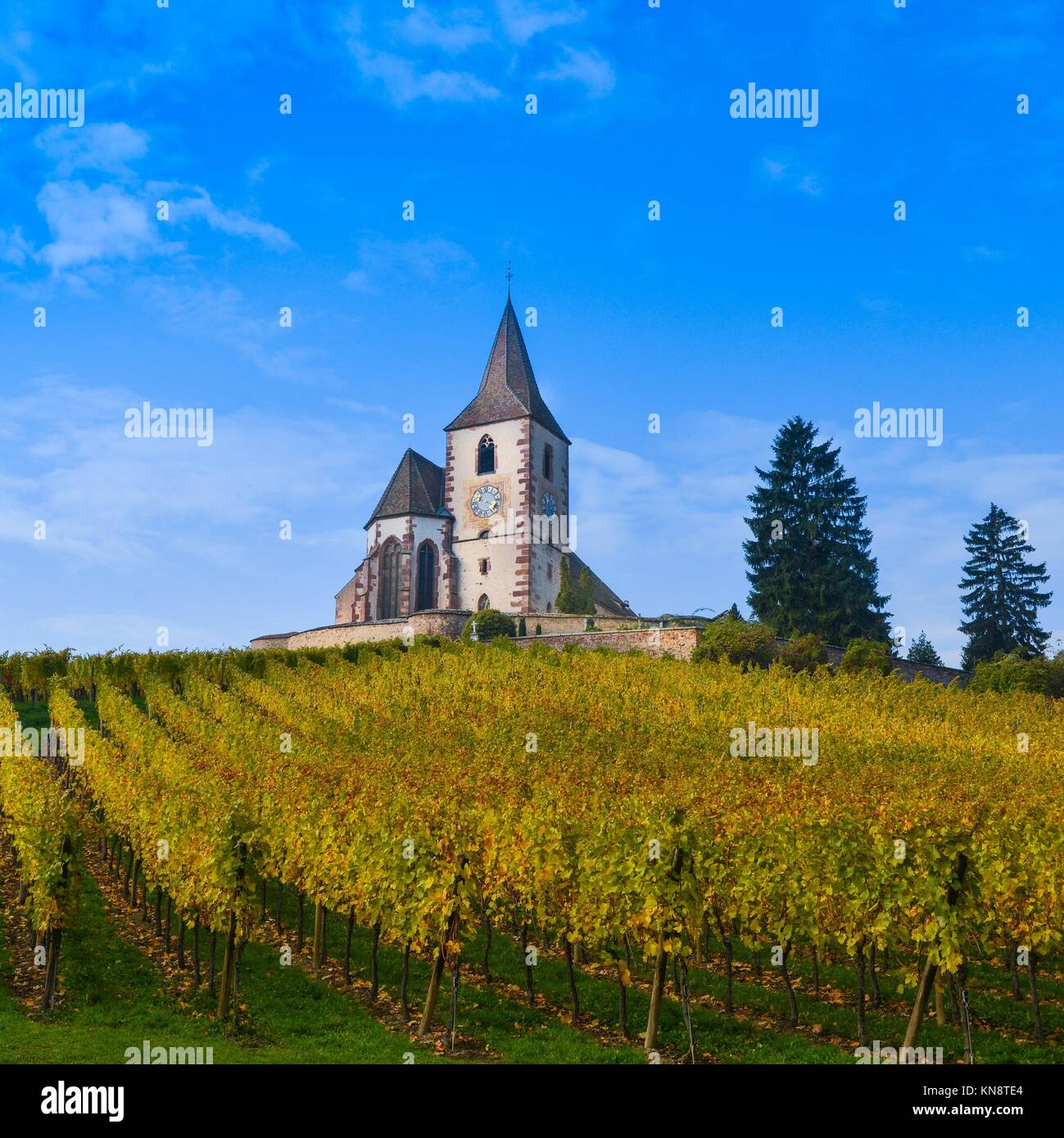 Haut rhin 68 hi-res stock photography and images - Alamy