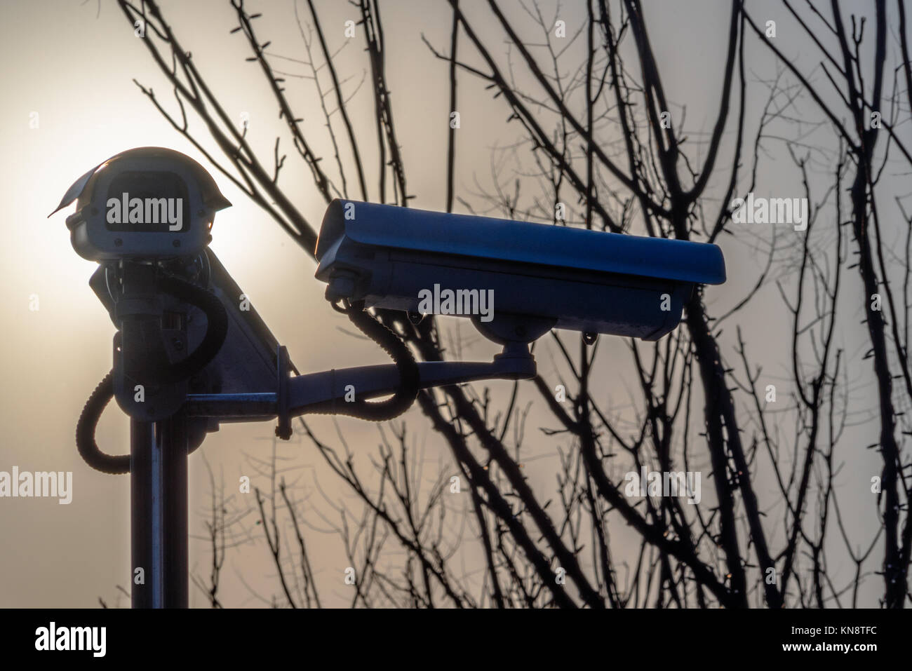 CCTV security camera front of tree branches in city of China Stock ...