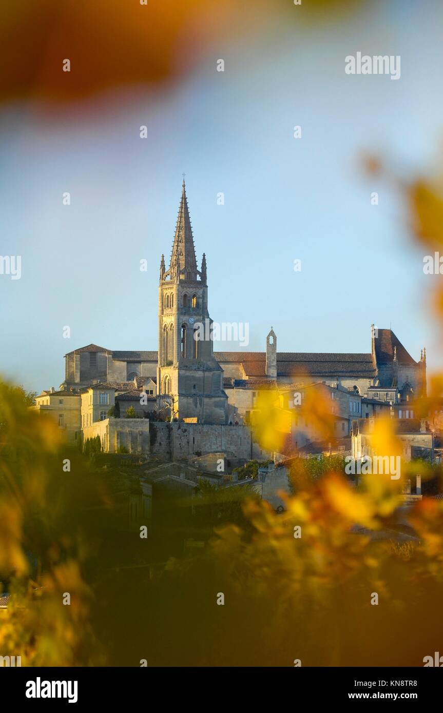 Saint-Emilion UNESCO World Heritage site in France, Europe Stock Photo ...