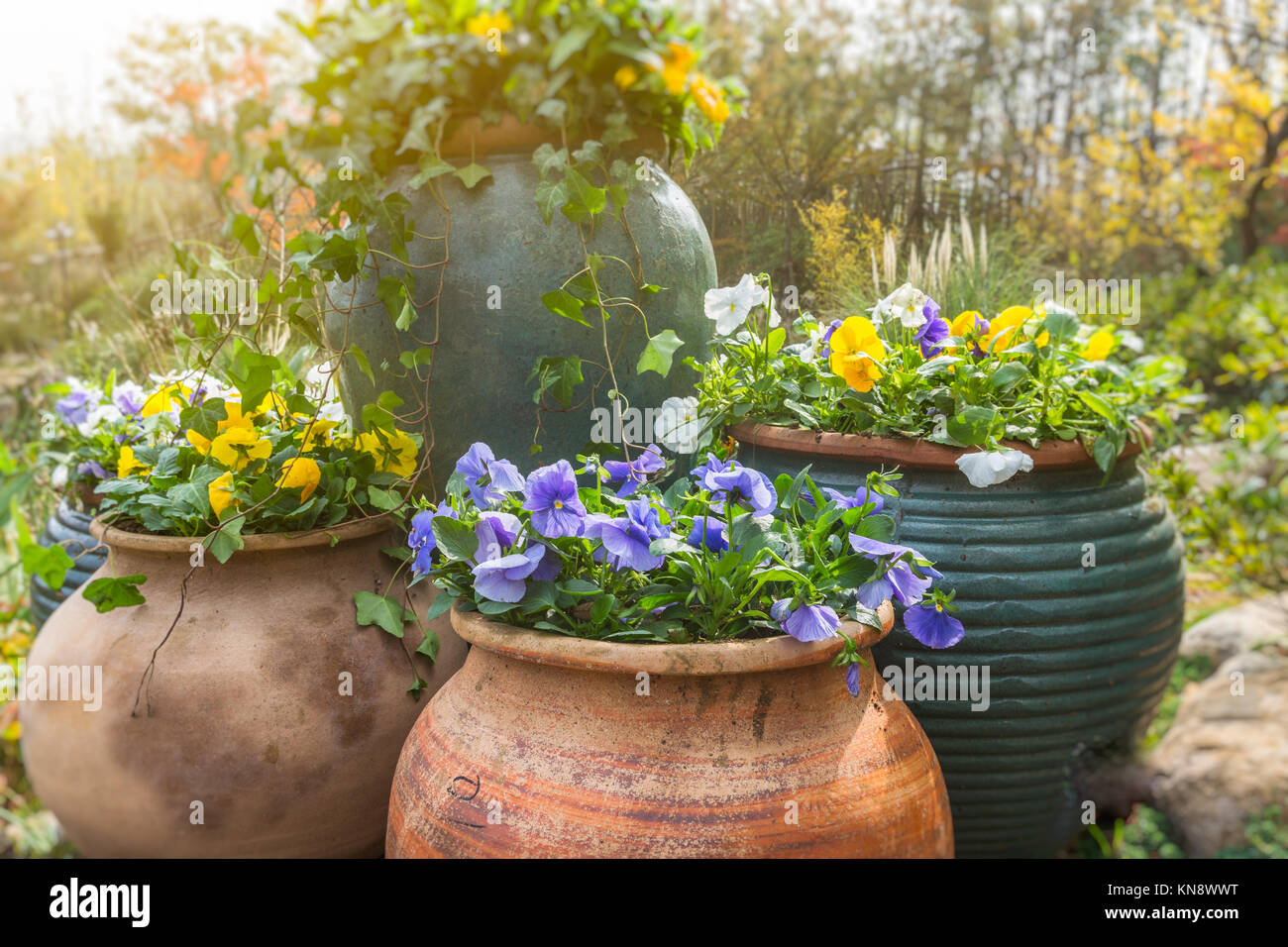 Detail Shot Of plant Over natural Background in Wuxi nianhuawan park ...