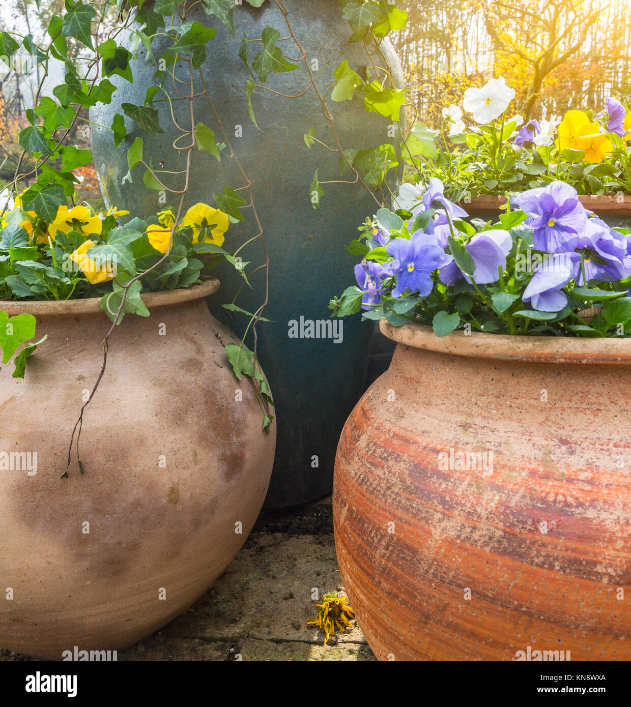 Detail Shot Of plant Over natural Background in Wuxi nianhuawan park ...