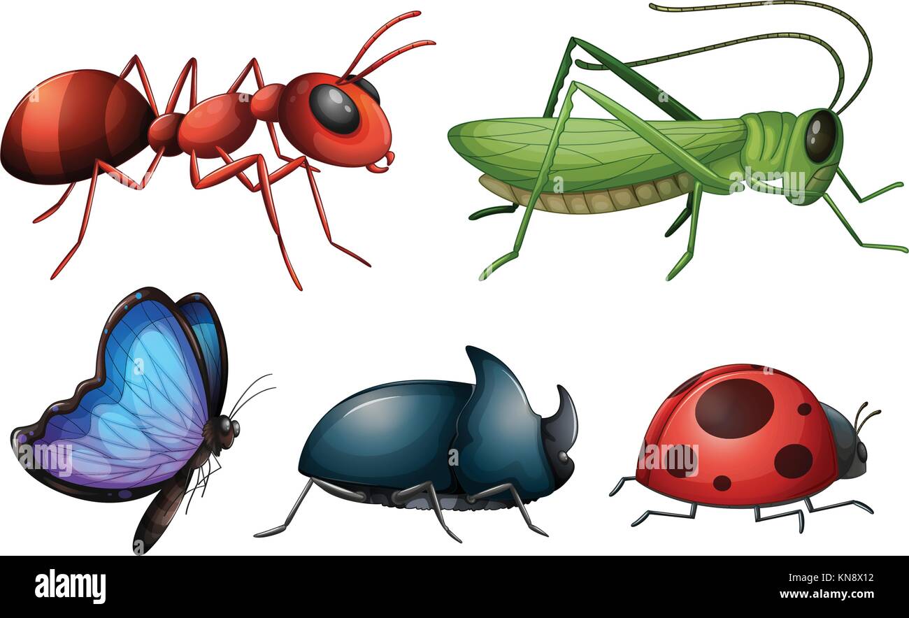 Strong flying insects Stock Vector Images - Alamy