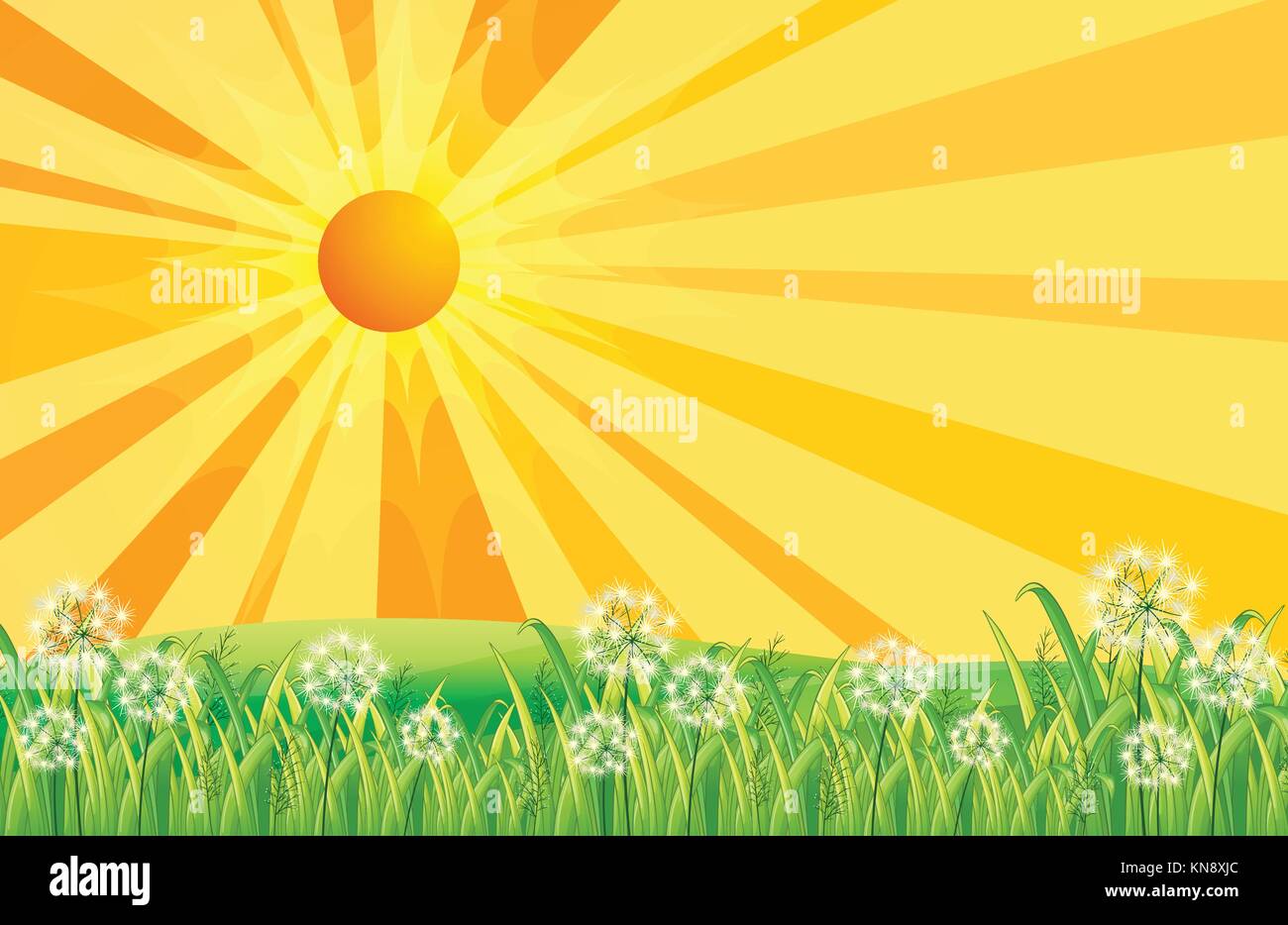 Illustration of the rays of the sun Stock Vector Image & Art - Alamy