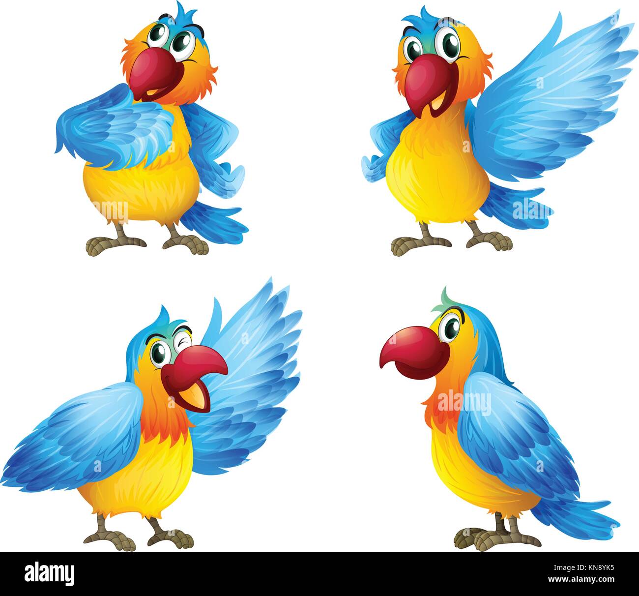 Illustration of four colorful parrots on a white background Stock ...