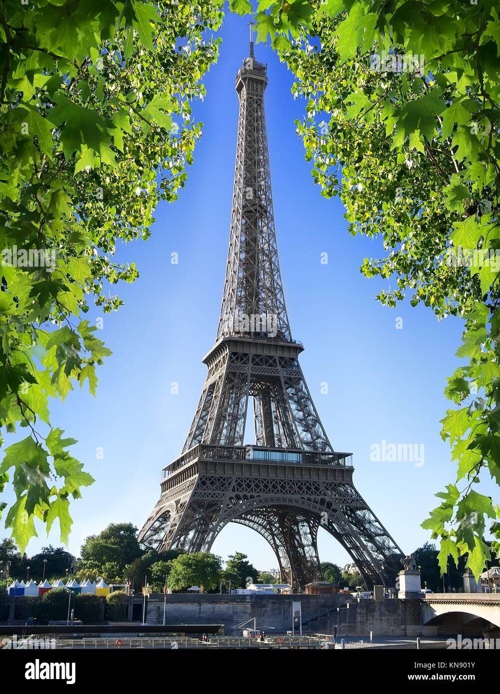 Water tower and tree hi-res stock photography and images - Alamy