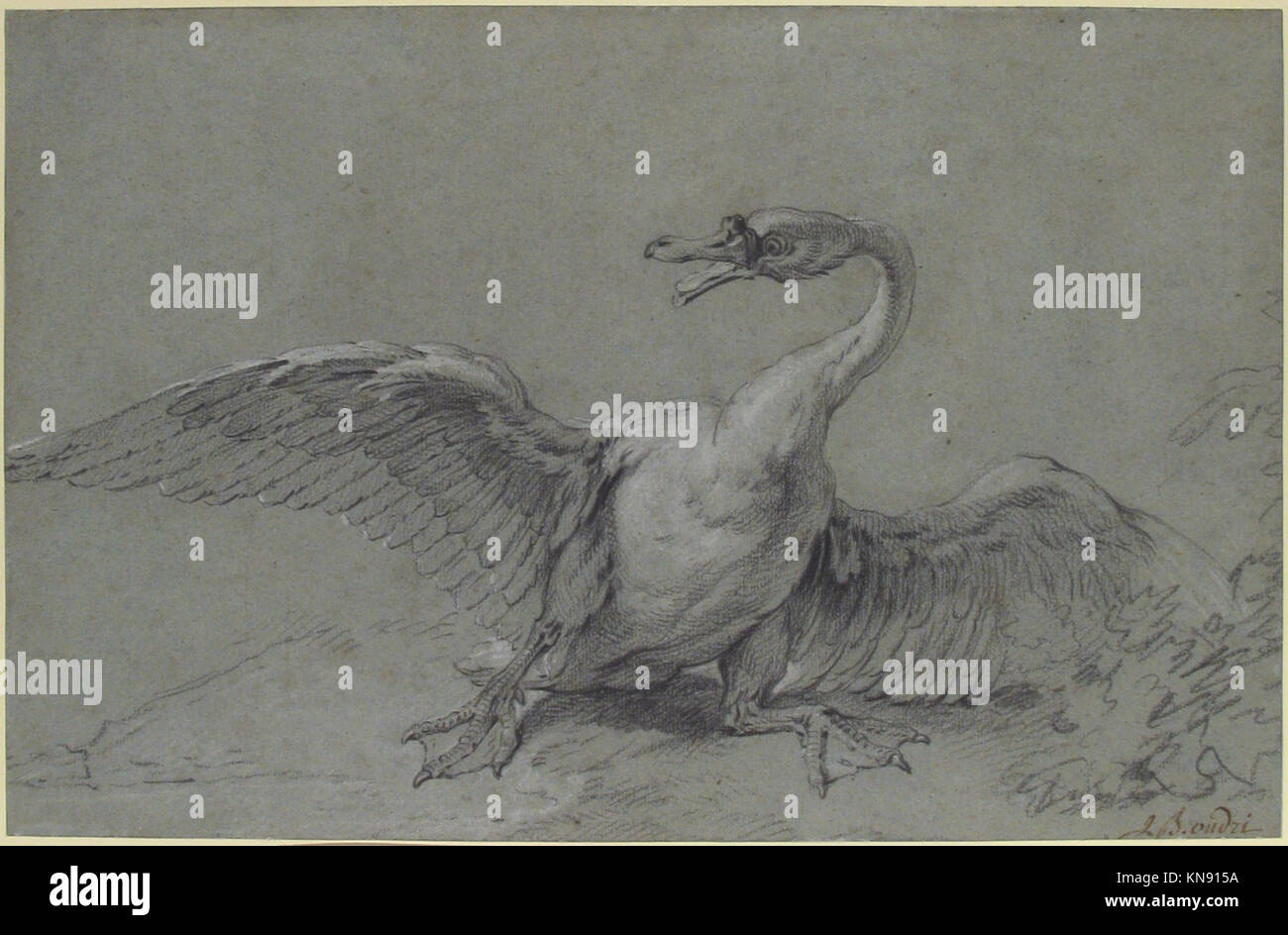 The 'Angry Swan' artwork captures the dynamic and aggressive posture of ...