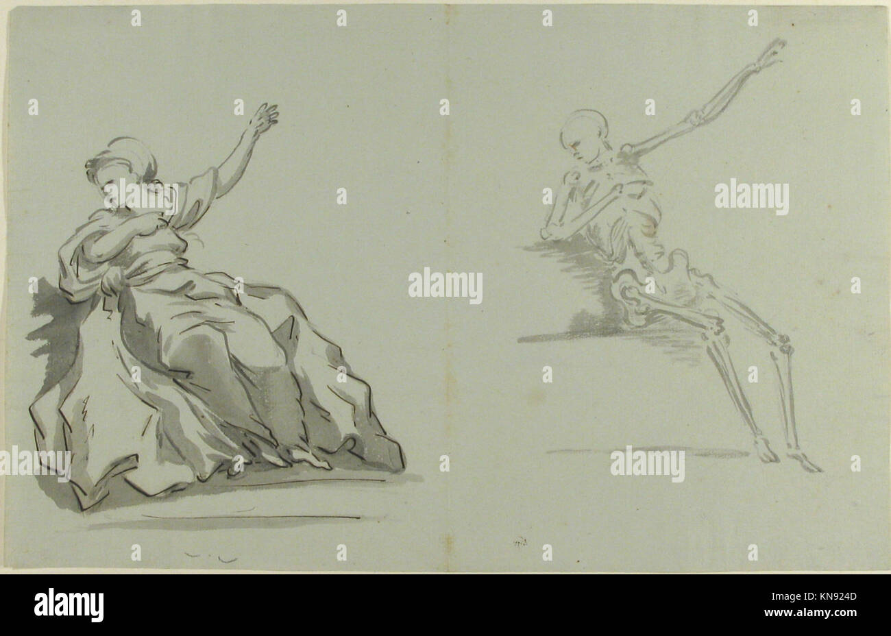 Detailed anatomical representation illustrates hi-res stock photography ...