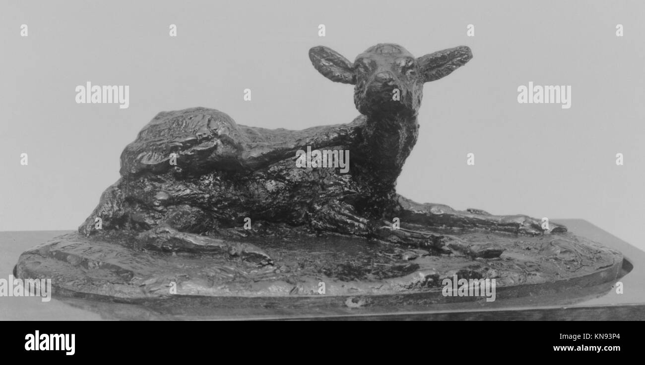 Animal scratching itself Black and White Stock Photos & Images - Alamy