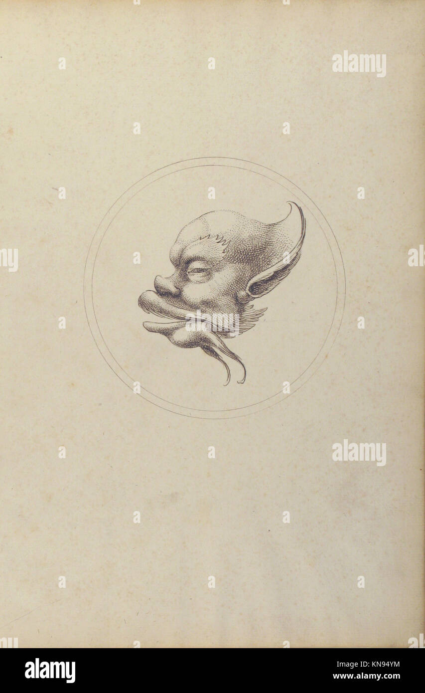 Featuring exaggerated facial features hi-res stock photography and ...