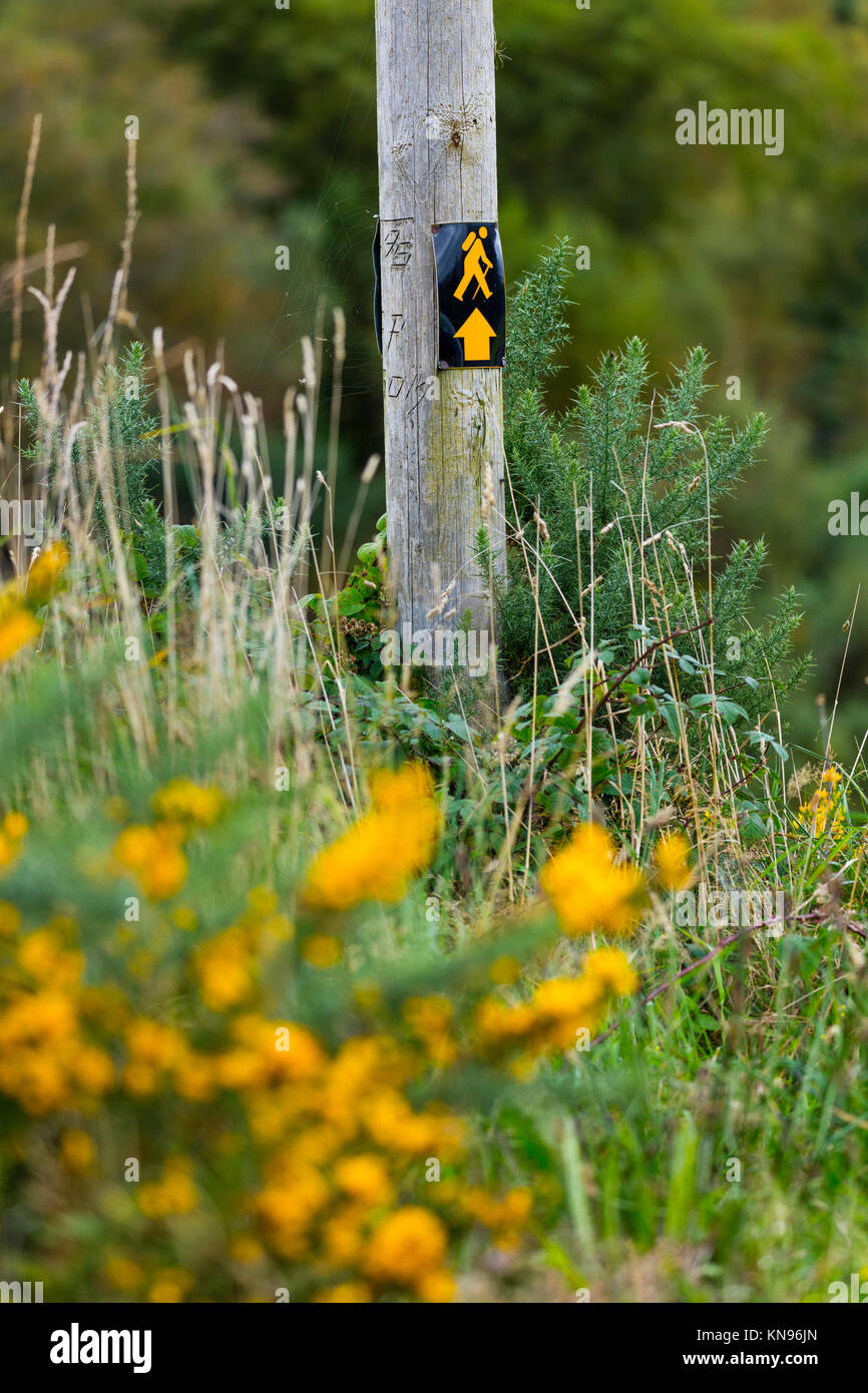 Trail Sign, Kenmare, Ring of Kerry, Iveragh Peninsula, County Kerry ...