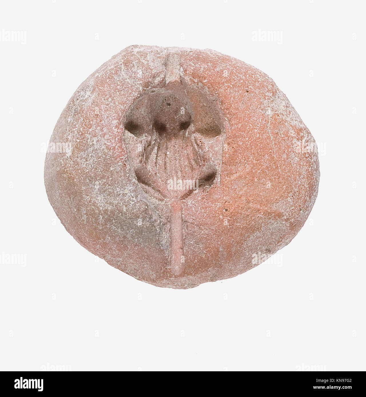 Frog mold hi-res stock photography and images - Alamy