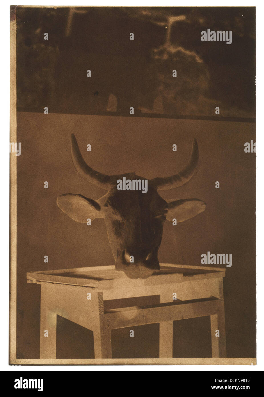 This still life painting depicts a meticulous arrangement of objects ...