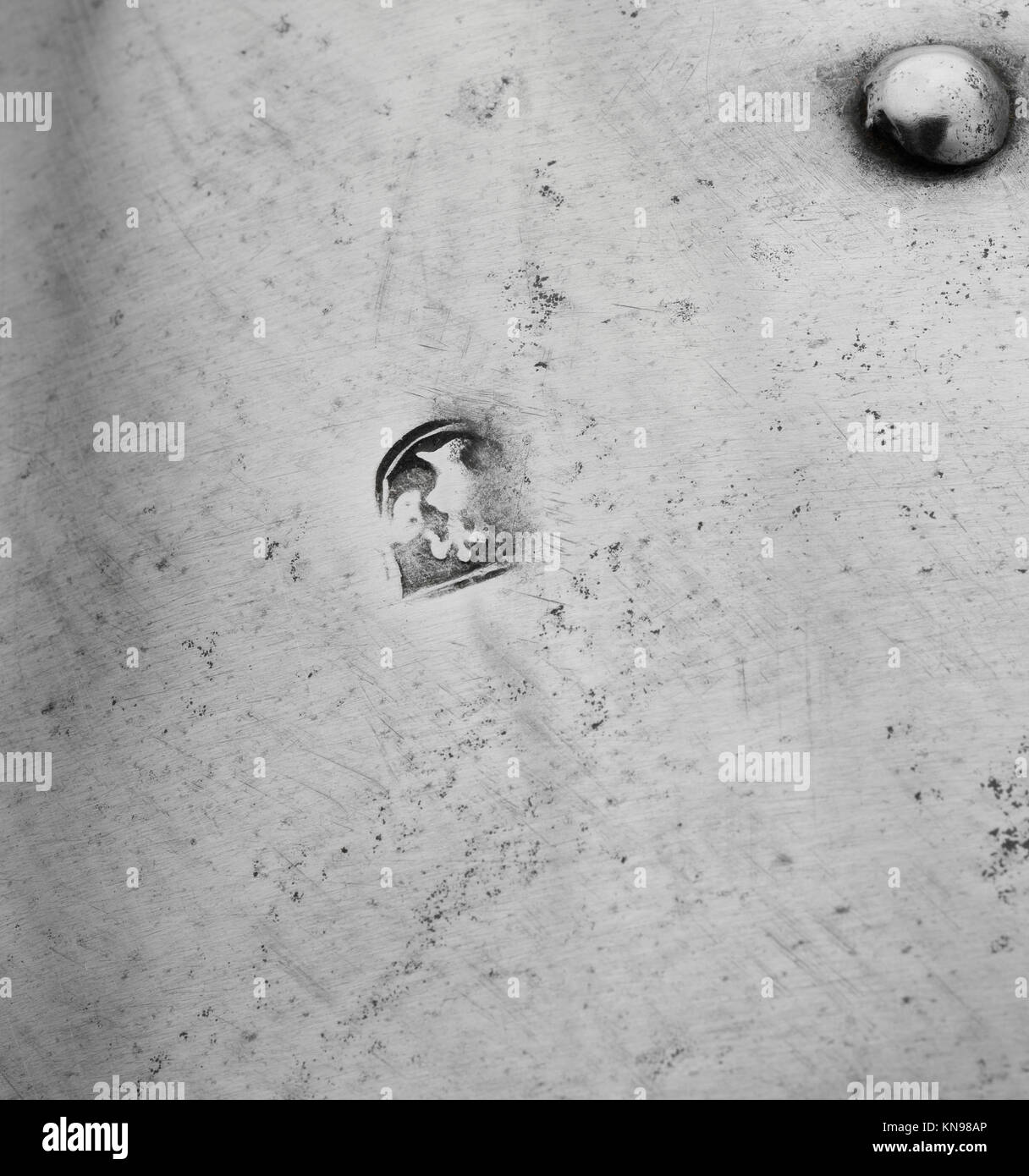 Crinet MET DP111369 27181 Stock Photo - Alamy