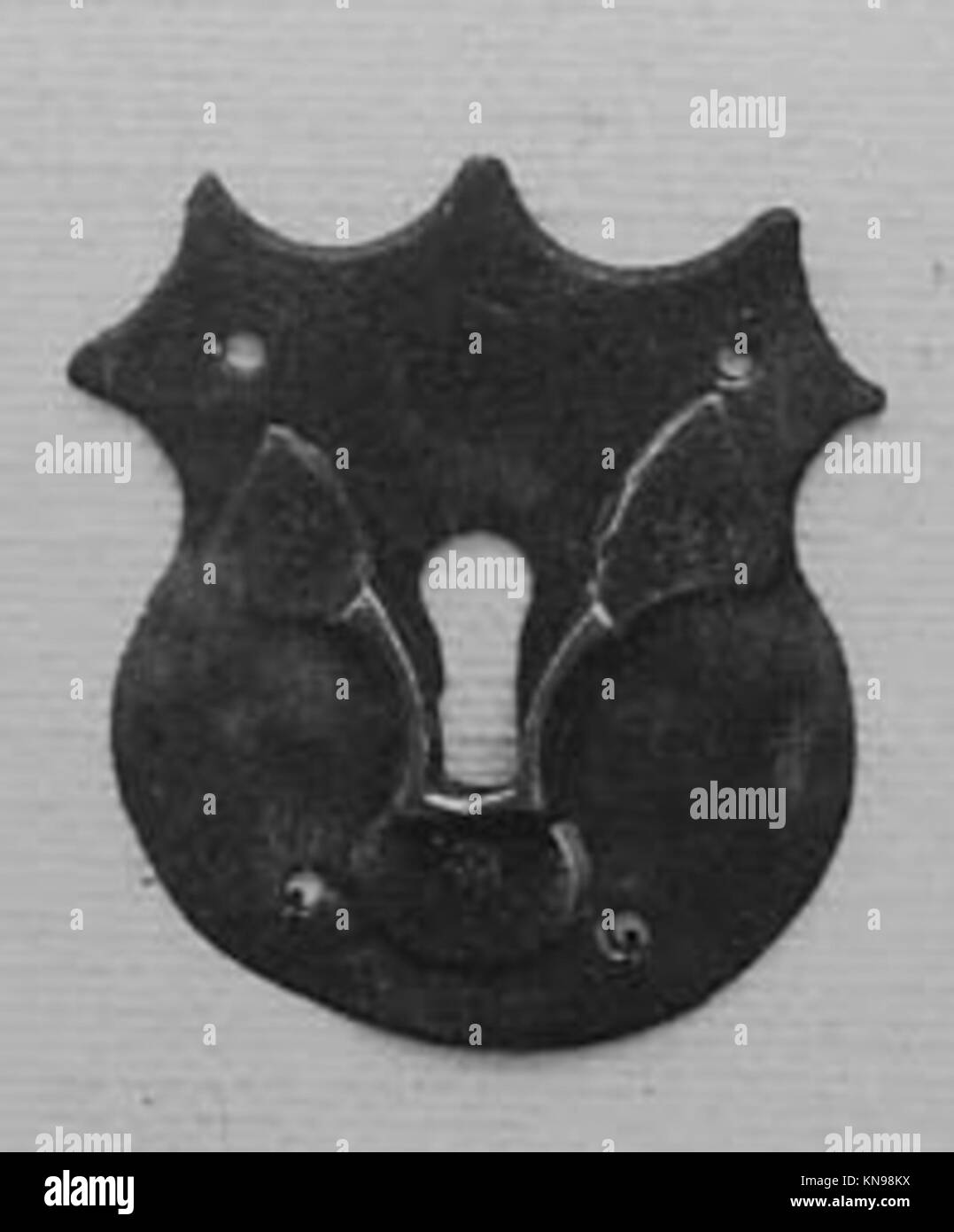 Escutcheon plate hi-res stock photography and images - Alamy