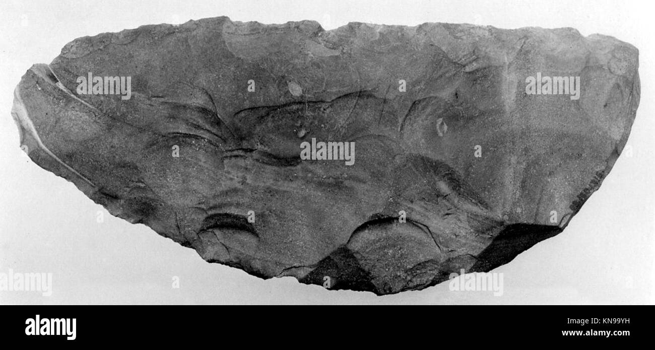 A biface stone tool demonstrating prehistoric craftsmanship, shaped for ...
