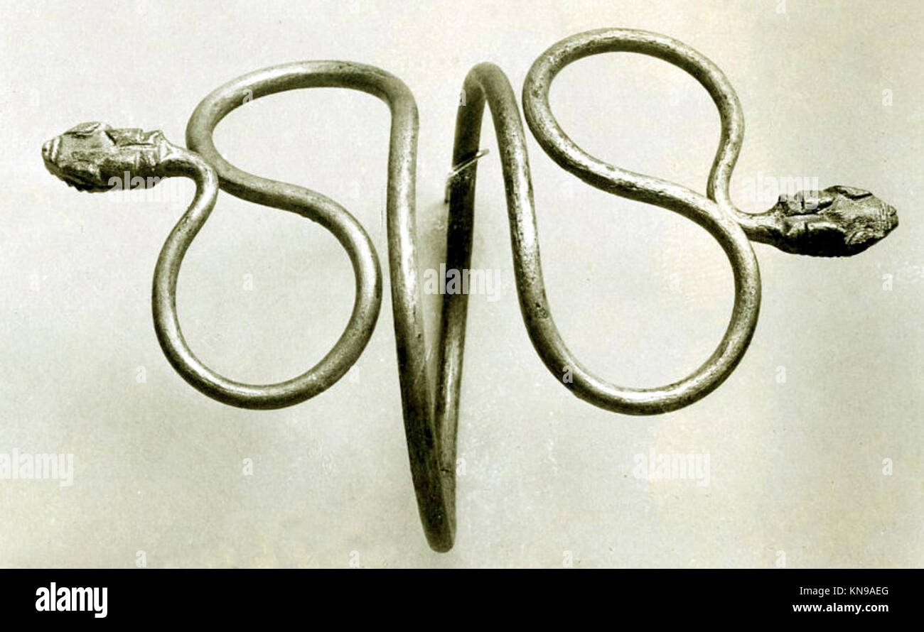 Snake Terminals High Resolution Stock Photography and Images - Alamy